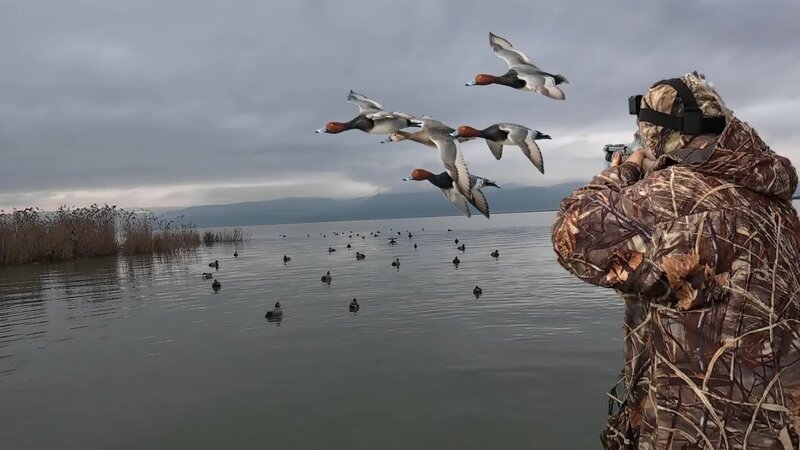 Ördek AVI - DUCK Season - 2025 - DUCK Hunting - Browning -Shotkam GUN ...