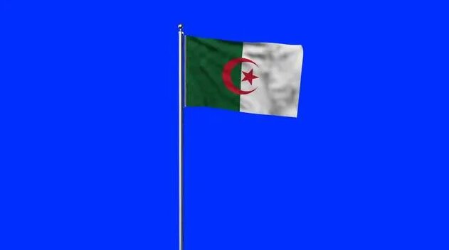 Flag of Algeria | Green screen Footage | Прапор Алжира | Флаг Алжира ...