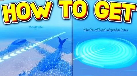 How to find whale migration location in fisch! roblox - Yandex Video ...