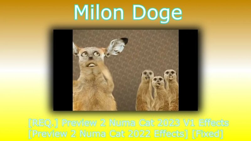 [REQ.] Preview 2 Numa Cat 2023 V1 Effects [Preview 2 Numa Cat 2022 ...