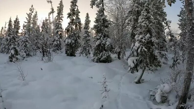 Пожил в Тайге. Охота и Рыбалка. Поймал и приготовил... — Видео от ...