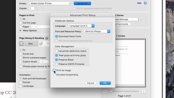 adobe reader: 999 video Yandex'te bulundu