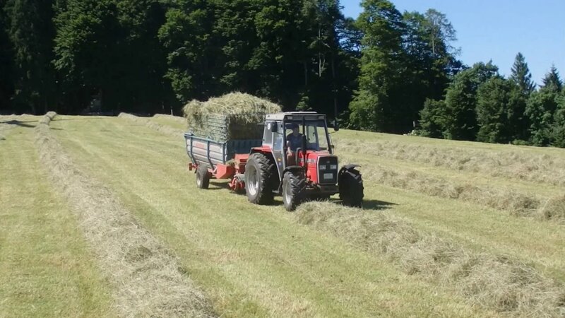Massey Ferguson 362 und 135 - Yandex Video aramada çevrimiçi izle