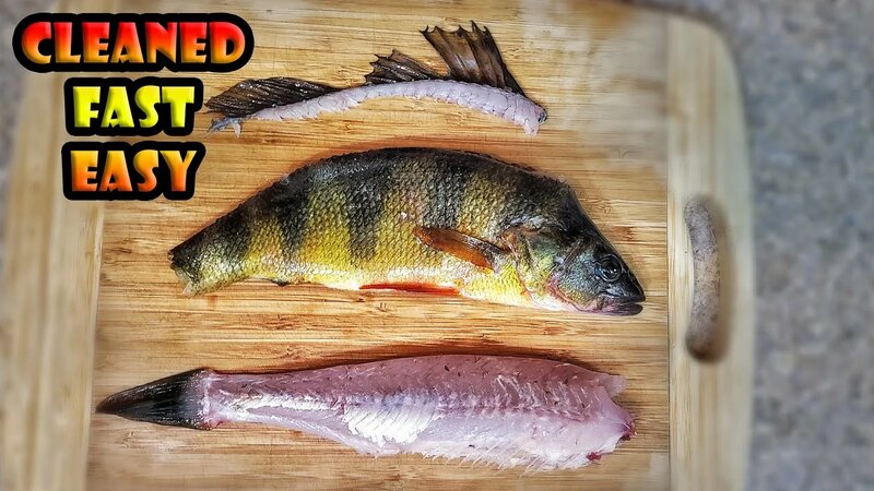 How to Clean a Yellow Perch Fish by Peeling the Skin Off - Смотреть ...