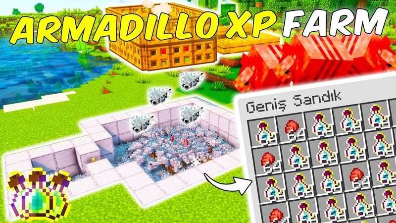 EN Kolay XP Farmi !! Minecraft: Armadillo Xp Farmı Nasıl Yapılır l ...