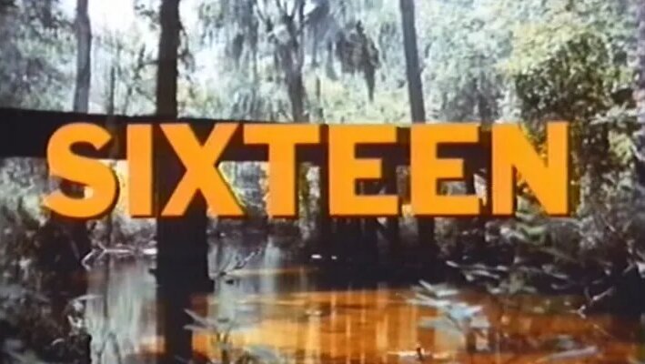 Видео Sixteen (1973) | Full Movie | w/ Mercedes McCambridge, Ford ...