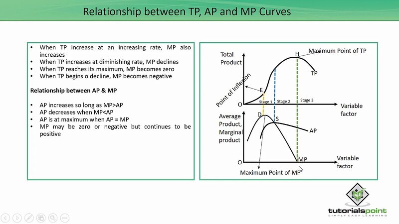 Class 12th – Relationship between TP, AP and MP Curves | Economics ...