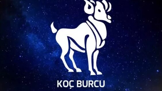 koç resimleri: 2 bin video Yandex'te bulundu