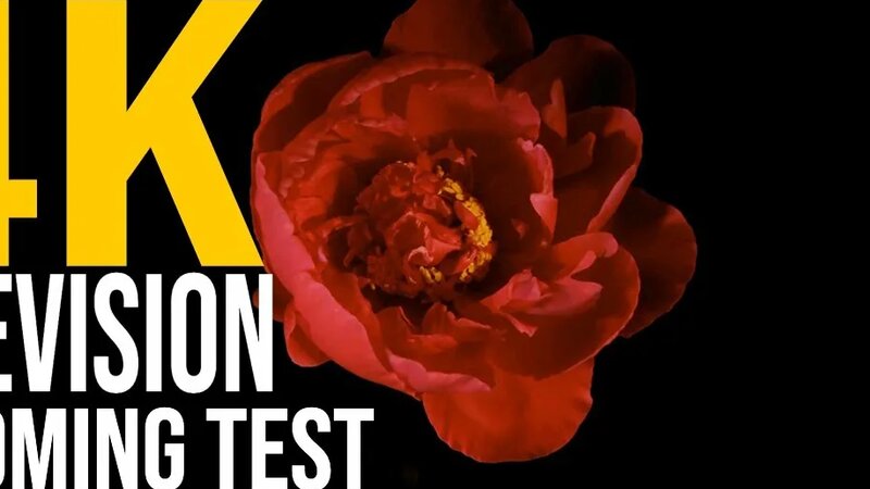 TV Blooming Test - See How Well Your Display Perform - Смотреть онлайн ...