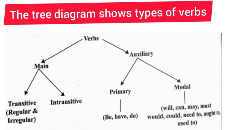 The tree diagram shows types of verbs - Yandex Video aramada çevrimiçi izle