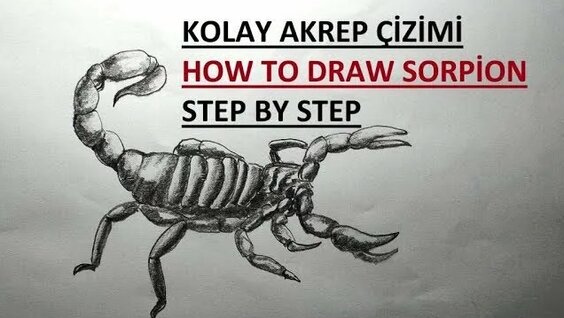 akrep çizimi: 943 video Yandex'te bulundu