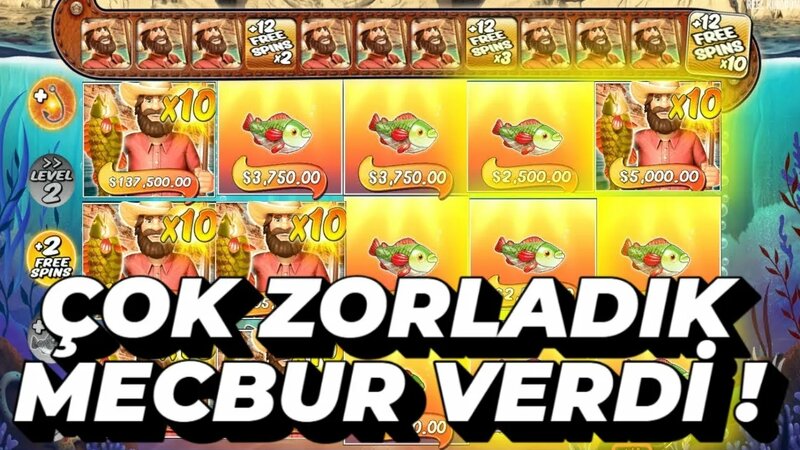 Slot oyunları bıg bass splash öyle zorladım ki mecbur ödedi - Yandex ...