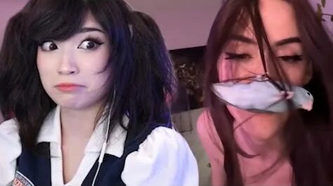 Emiru Reacts to Unusual Memes Compilation V179 - Смотреть онлайн в ...