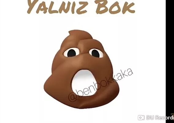 Bok kaka sarkisi | yalniz çiçek Aleyna tilki ft bok - Yandex Video ...