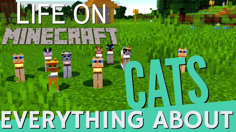 Minecraft Cats: All About Cats in Minecraft Breeding Taming & Really ...