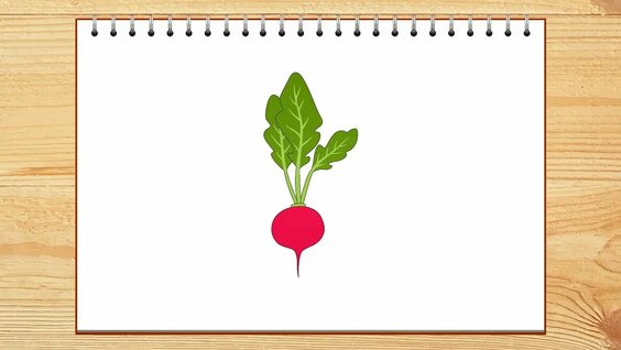 turp resmi çizimi: 898 video Yandex'te bulundu