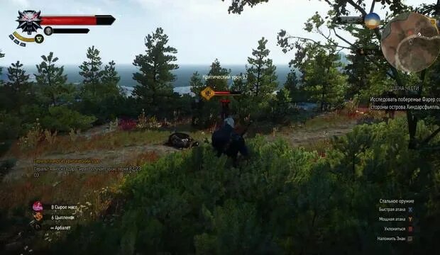 Witcher 3 Master Marksman / Меткий стрелок (бесконечные мобы ...