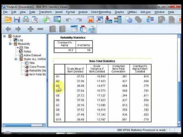 reliability test using SPSS - Yandex Video aramada çevrimiçi izle