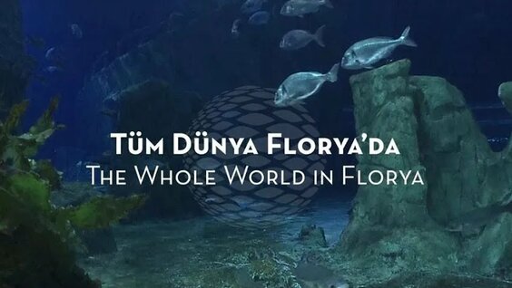 istanbul florya: 667 video Yandex'te bulundu