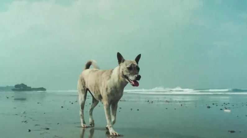 Skrillex & Diplo pres. Jack U - “Mind“ feat. Kai (Official Video ...