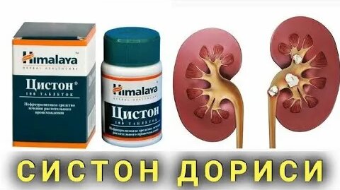 Siston haqida | систон ҳақида - Yandex Video aramada çevrimiçi izle