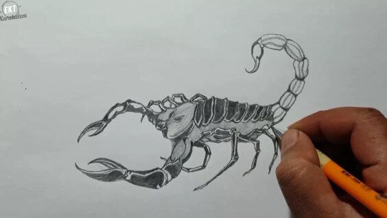 akrep çizimi: 961 video Yandex'te bulundu