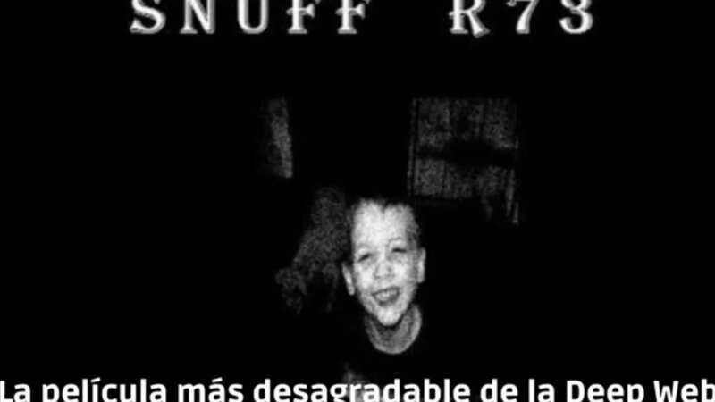 Snuff R73 - Смотреть онлайн в поиске Яндекса по Видео