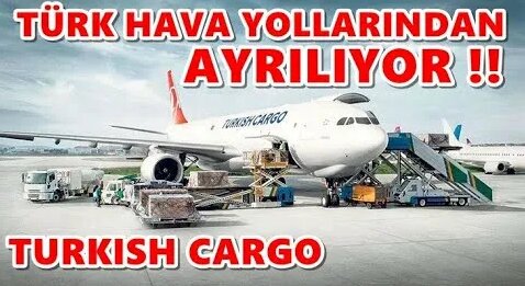 thy kariyer: 952 video Yandex'te bulundu