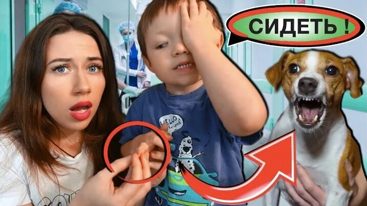 Видео Укусила ВО Время Первой Дрессировки - Собака Джина и Спарти | Elli Di Pets | OK.RU ...