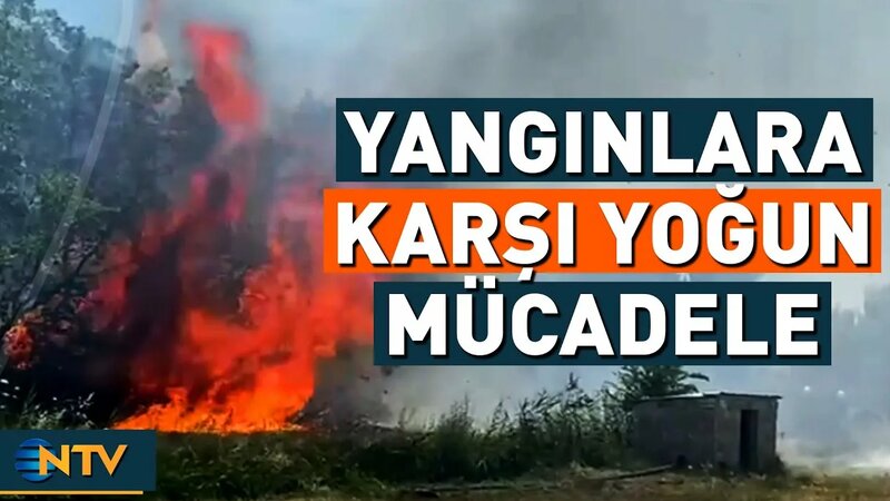 Türkiye'nin Dört Bir Yanında Çıkan Orman Yangınlarına Müdahale Ediliyor ...