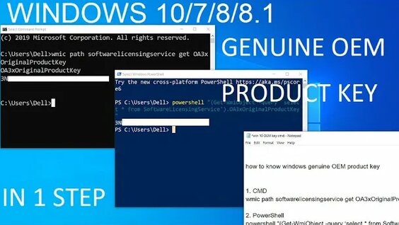 windows 10 oem product key: 1 bin video Yandex'te bulundu