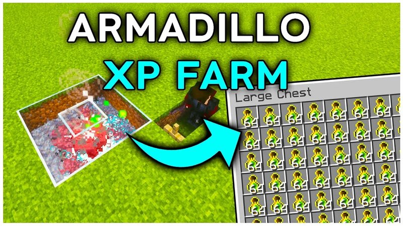 The Easiest Armadillo XP Farm in Minecraft Java 1.21 (Tutorial ...