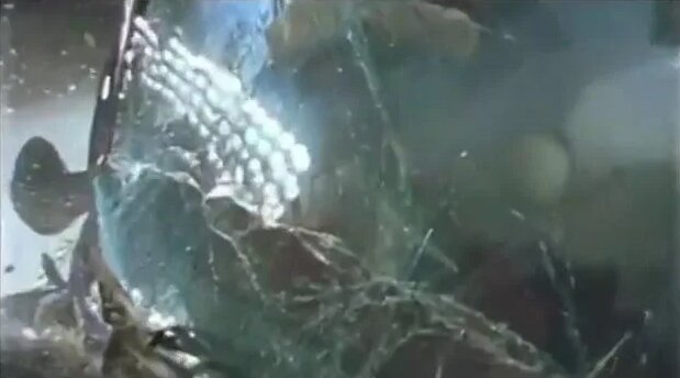 Crash test Fiat Multipla 2001 - Смотреть онлайн в поиске Яндекса по Видео