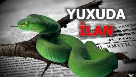 ilan yuxu yozma - yuxuda qara ilan - ağ ilan - sari ilan - yasil ilan ...