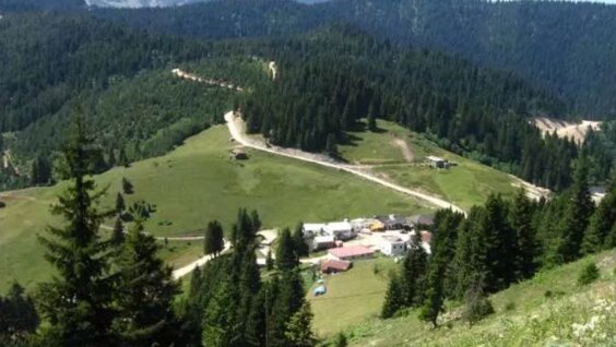 trabzon yayla evleri: 116 video Yandex'te bulundu