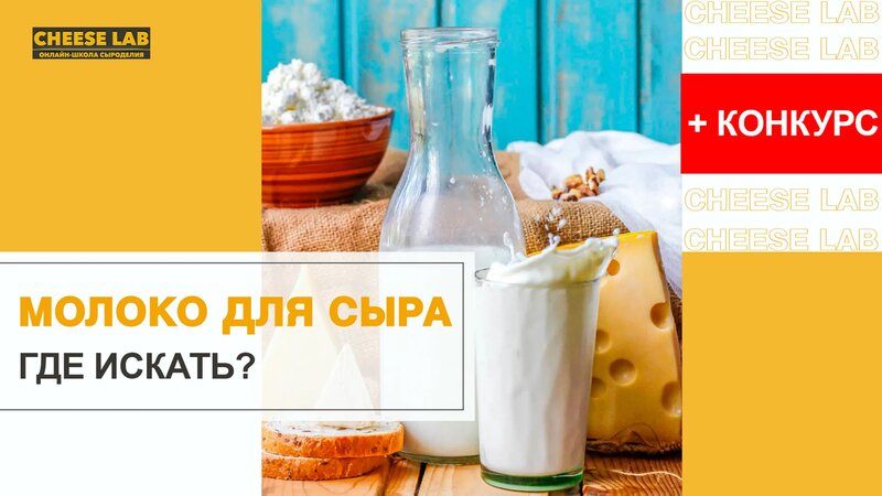 Где искать фермерское молоко для сыра в мегаполисе. Секреты домашнего ...