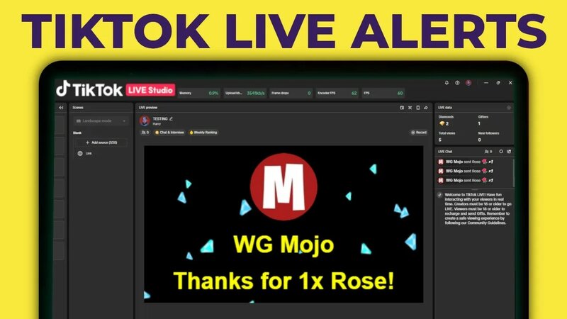 Complete TikFinity Setup - 2025 TikTok LIVE Alerts (Gifts, Follows ...