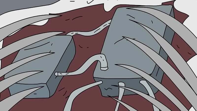 SCP-446 – Манекенщица (Анимация SCP) — Видео от Доктор Боб - Смотреть ...