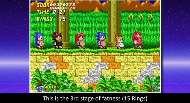 Sonic 2 XL Fat Metal Sonic, Ray, Amy, Tails, Shadow, Knuckles, Mighty ...