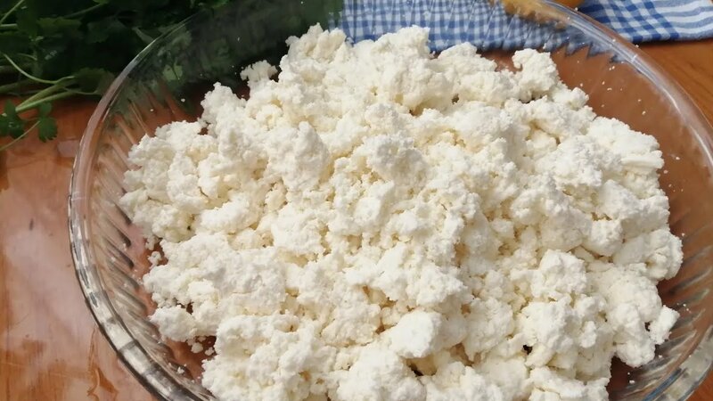 How to Make Milk Curd / Curd Recipe Natural, Practical, Organic ...