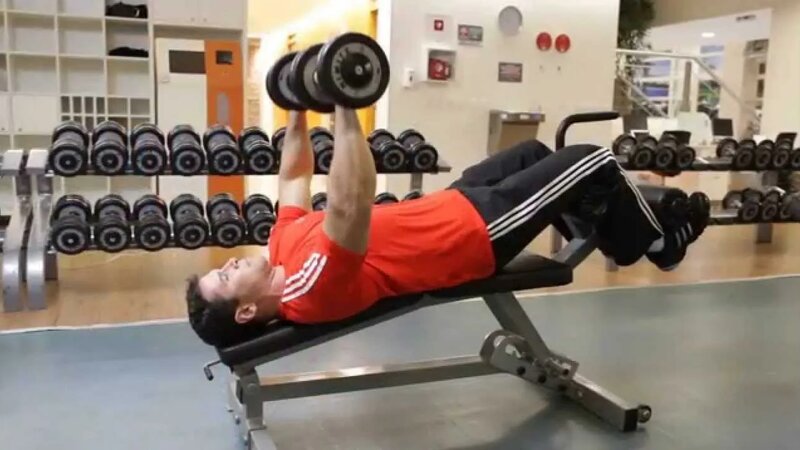 Decline Dumbbell Bench Press - Chest Exercise - Yandex Video aramada ...