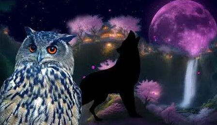 wolves howling sound, wolf howling, wolf sound, owls sound, owl hooting ...