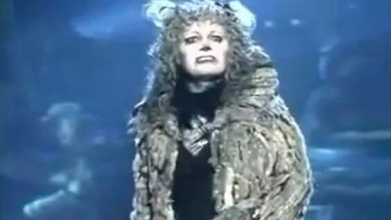 Cats Musical Memory - Смотреть онлайн в поиске Яндекса по Видео