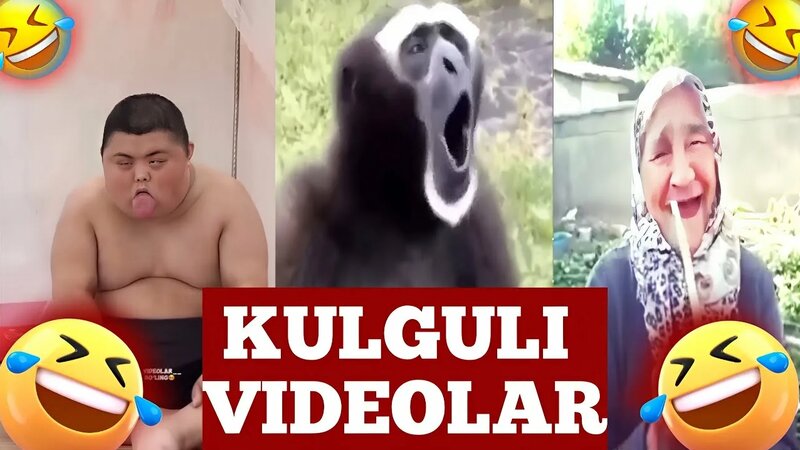 Kulguli Videolar, Prikollar, Vaynlar, Komediyalar, Qiziqarli Videolar # ...