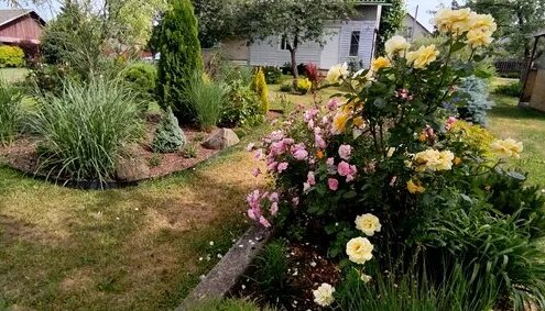 Молодые пытаются заняться любовью