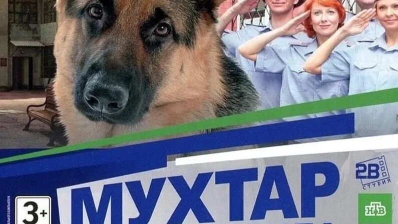 Прохождение Мухтар и его Команда, 2 серия, 2025 — Видео от Мухтар. Он ...