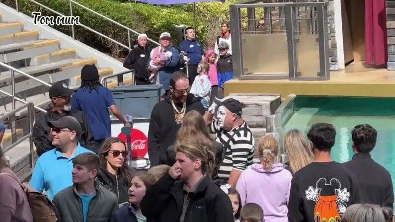 Том мим — Видео от Tom mim Шоу - Смотреть онлайн в поиске Яндекса по Видео