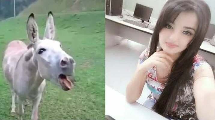 Видео #12 Uzbekcha Kulguli Yangi Prikollar 2018 / funny / приколы | OK ...