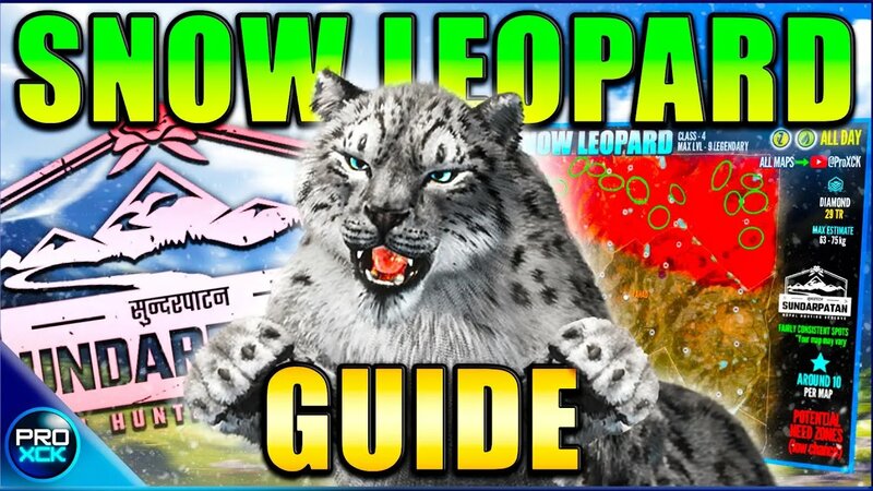 Snow Leopard Guide! | How to hunt Snow Leopards on Sundarpatan - the ...