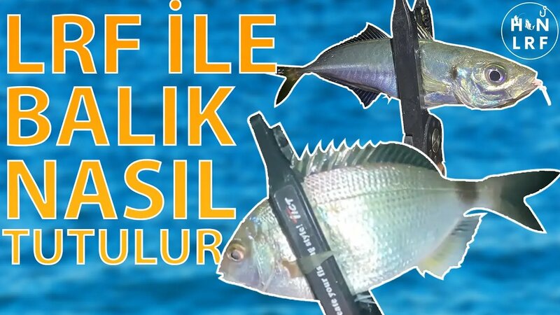 Aksiyon Dolu Bir LRF Gecesi | Japonya'dan Balık Malzemesi Almak | DFT ...